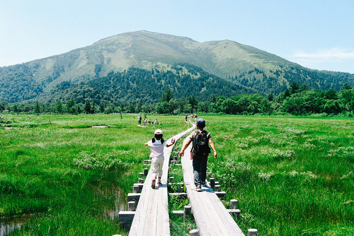 NACS-J | The Nature Conservation Society of Japan